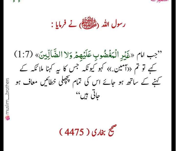 The straight way of life - Explore the ease in Islam, through Quran and ...